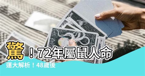 【1972年屬鼠】驚！72年屬鼠人命運大解析！48歲後竟靠「它」！ Mirrort 風水網