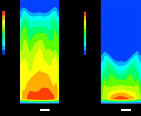 Contour Of Solid Volume Fraction At Low Left And High Right Gas