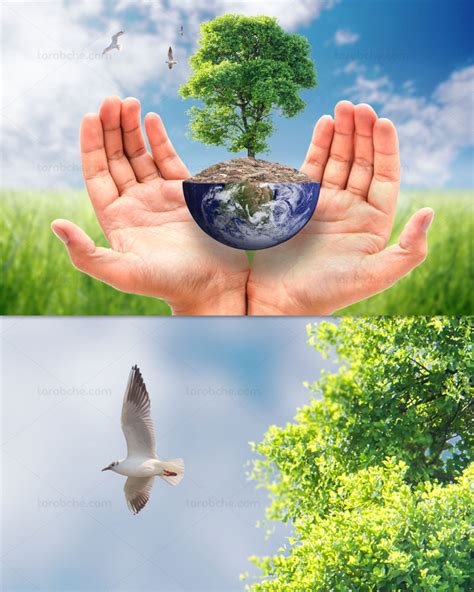 عکس مفهومی حفاظت از محیط زیست گرافیک با طعم تربچه فروشگاه آنلاین طرح