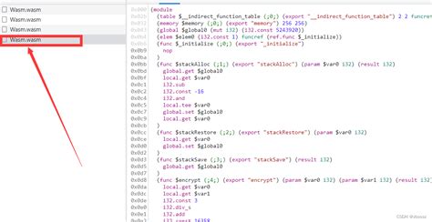 【爬虫】wasm遇到的bugexception Pywasm Magic Header Not Detected Csdn博客