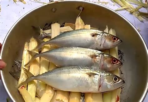 วิธีทำ “ปลาทูต้มเค็ม” สูตรชาววัง หอมถึงเครื่อง เนื้อแน่นๆ ก้างเปื่อย รสชาติเปรี้ยวหวานกลมกล่อม