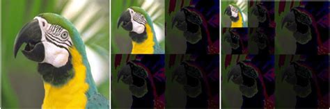 A Original Image B Level 1 Decomposition Using LWT C Level 2