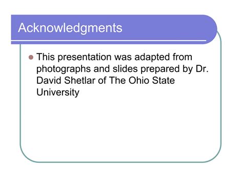 Introduction To Arthropods Lecture Presentation Ppt