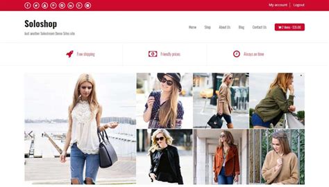 Wordpress Premium Theme Wp Ecommerce