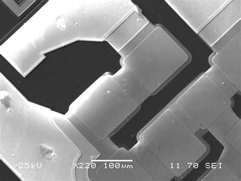 I Got To Use An Electron Microscope Last Week Album On Imgur