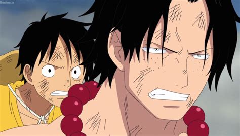 Ace And Luffy The D Brothers Luffy And Ace Photo Fanpop