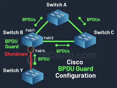 Stp Bpdu Guard ⋆ Root Guard Vs Bpdu Guard Vs Bpdu Filter