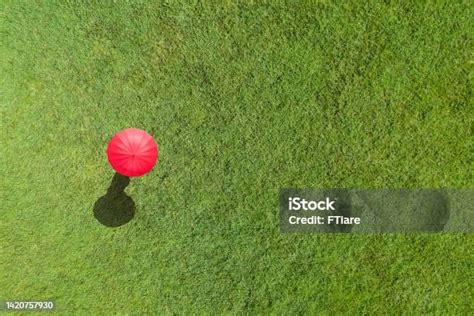 붉은 비 우산을 가진 여성이 여름날 태양으로부터 자신을 보호하는 공원의 푸른 잔디 위를 걷고 있습니다 상단 드론 조감도 녹색에 대한 스톡 사진 및 기타 이미지 Istock