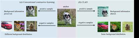 Contrastive Pair Sampling Strategies A Used In Conventional Download Scientific Diagram