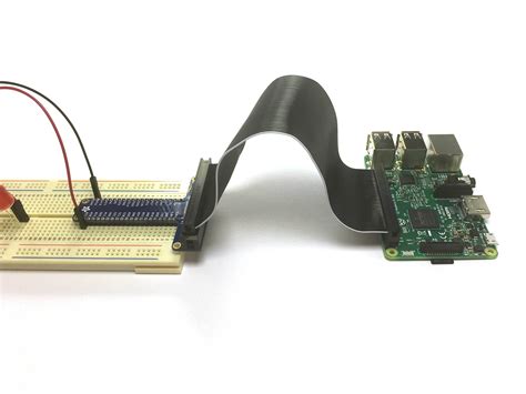 digital outputs with a raspberry pi little bird guides