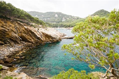 Coastal What Are Types Ecosystem And Examples Evidence Network Coastal What Are Types Ecosystem And Examples Evidence Network