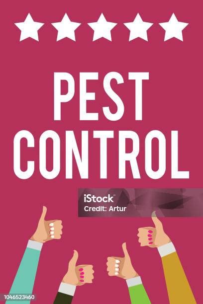 해충을 보여주는 글을 참고 농작물과 가축 남자 여자를 공격 하는 살인 파괴적인 곤충을 보여주는 비즈니스 사진 손 엄지손가락 승인 받음 정보 보라색 배경 가구에 대한 스톡