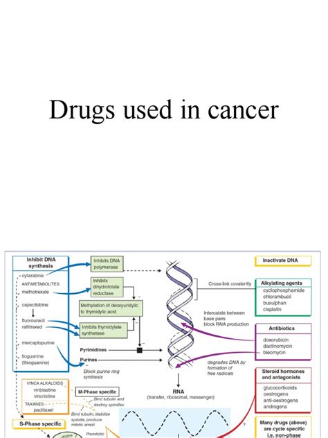 Cancer Treatment Chemotherapy Overview Pdf Chemotherapy Cancer