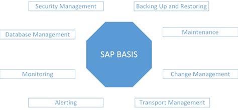 Do Sap Basis Administration By Prathapcute Fiverr