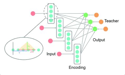 Iris Classification Network Structure Diagram Each Red Input Neuron