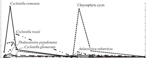 The Five Most Abundant Diatom Taxa And Total Chrysophyte Cyst Download Scientific Diagram