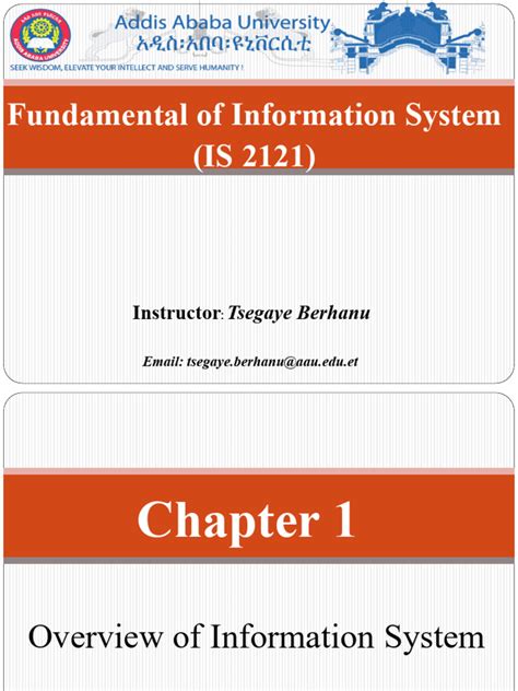 is chapter 1 overview of information system pdf