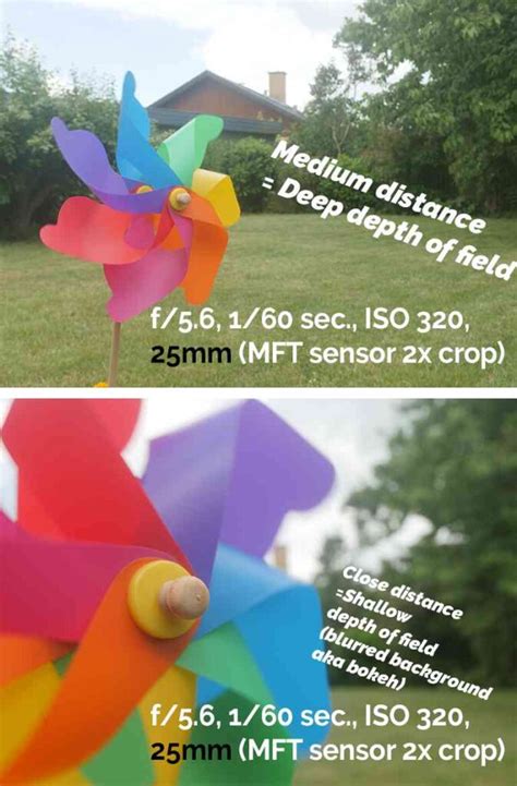 Depth Of Field Explained What It Is How You Can Use It FilmDaft