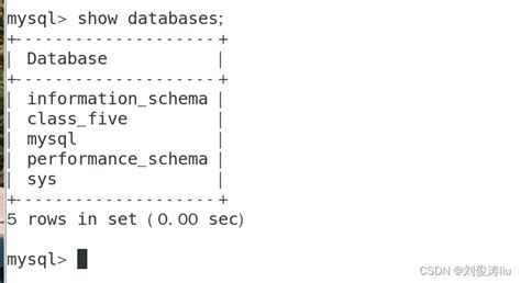 小白带你学习linux Sql语句（二十八）如何自学linux和sql语句 Csdn博客