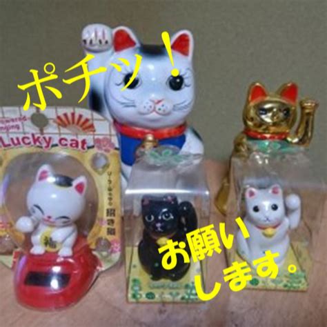 Amlnzu Zuq Blc Sdmrwhycsb Bgdveipp Is Out Dg S C K C X Ffffff No Rj