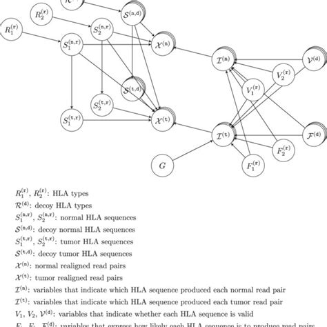 Graphical Representation Of Our Method Download Scientific Diagram