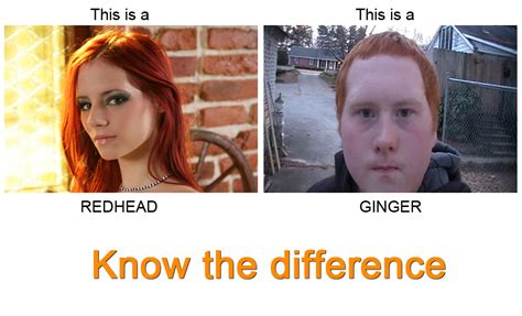 So Funny You May Just Pee Your Pants Did You Think A Redhead And A Ginger Were The Same Thing