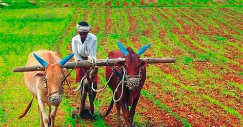 Господарство країн Африки Практична робота №7 Позначення на контурній карті Африки основних