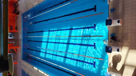 8 ან 12 ვიზიტი დახურულ საცურაო აუზზე