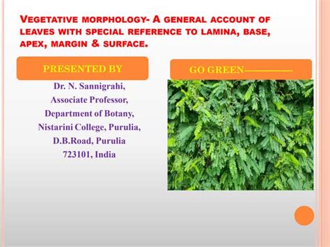 Morphology Of Leaf With Special Reference To Leaf Shape Surface