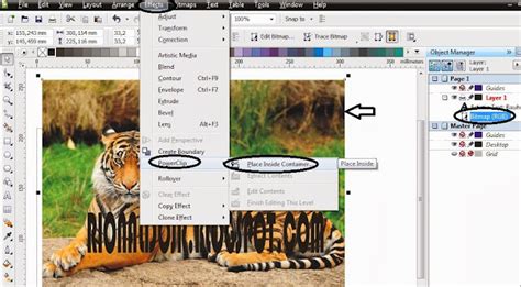 tutorial corel draw mengenali fungsi powerclip