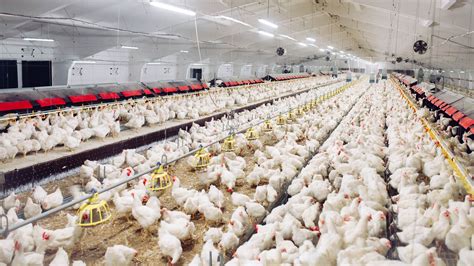 Nasze Realizacje - Agro Montaż - Jacek Małyszka