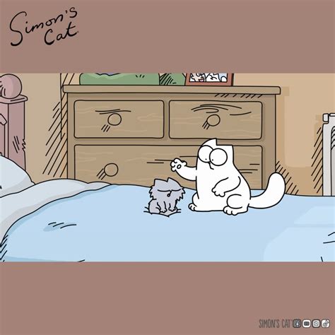 Simons Cat Forever Kitten Kitten Origins Part 3 Can We Keep Him