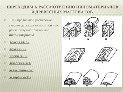 Презентация по технологии для 5 класса на тему Породы древесины части дерева Виды
