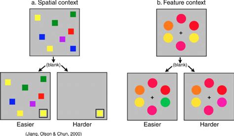Interactions Between Items In Working Memory A Effects Of Spatial