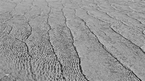 Juniqua Womens Kitesurfing Gear With Elegance And Performance