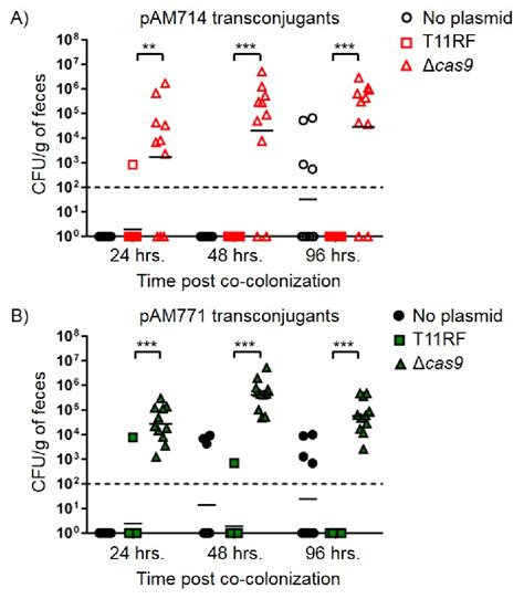 Figure 5 From Crispr Cas Blocks Antibiotic Resistance Plasmid Transfer Between Enterococcus