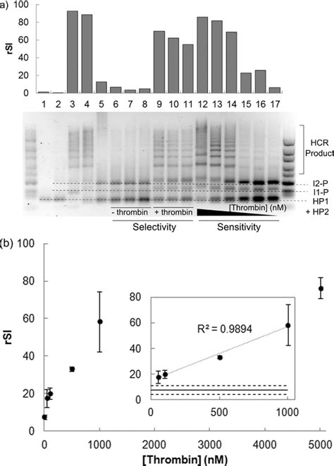 Figure 5 From Engineering Self Contained Dna Circuit For Proximity