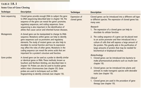 Week Chapter Recombinant DNA Technology I Flashcards Quizlet