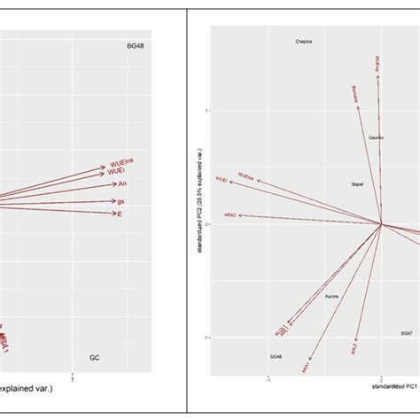 Principal Component Pc Biplot Showing The Percentage Of Variance