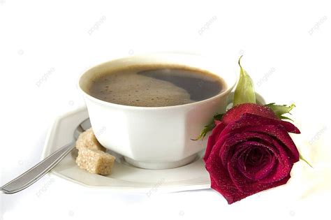 Good Morning My Love Background Images HD Pictures And Wallpaper For Free Download Pngtree