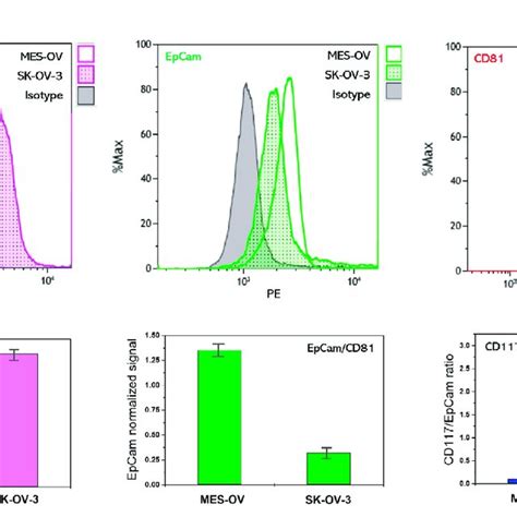 Flow Cytometry Analysis Of Membrane Surface Protein Expression On