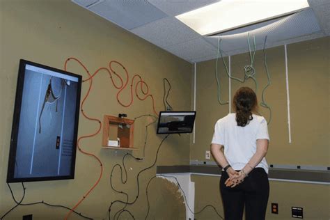 Three Windows Say Hi