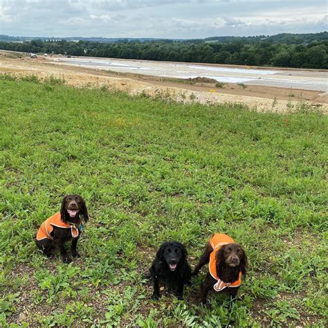Nesting Bird Mitigation From NBC Environment