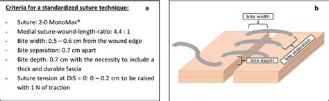 A Summary Of The Criteria For A Standardized Suturing Technique