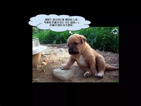 Data Oriented Design Ppt