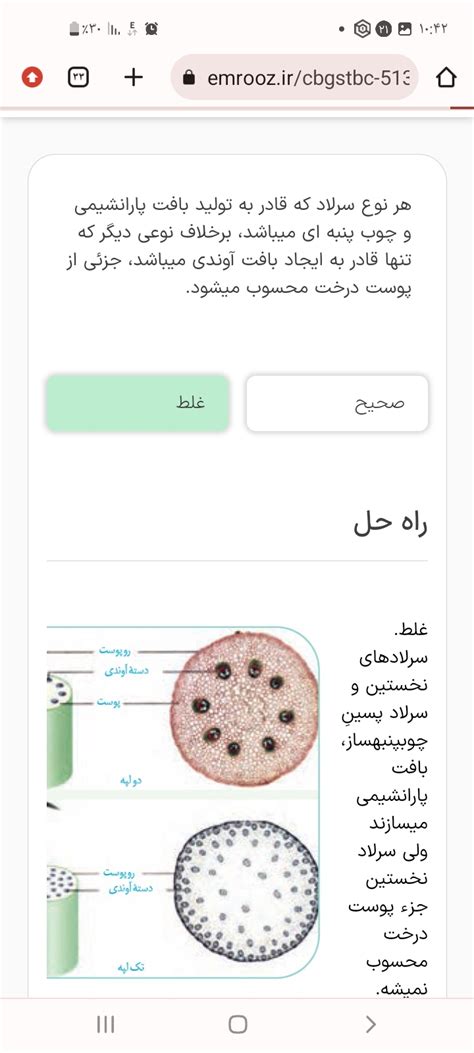 تدریس مقایسه ساختمان نخستین تک لپه و دولپه زیست شناسی دهم تجربی کنکور