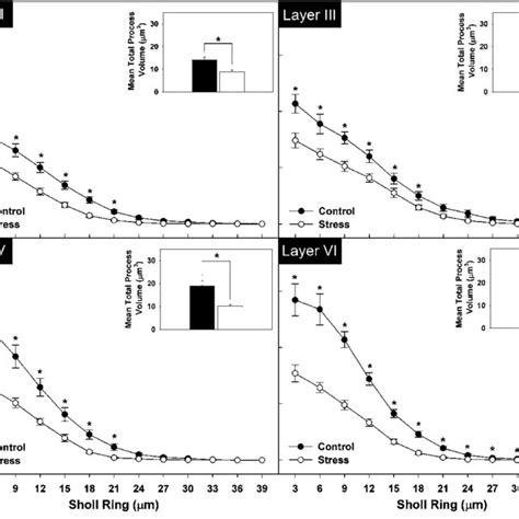 The Anatomical Locus Of The Medial Prefrontal Cortex Within The Rat Download Scientific Diagram