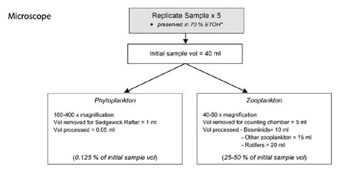 Diagram Of Microscopic Evaluation 5 Download Scientific Diagram