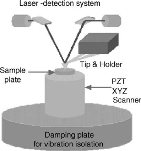 A Schematic View Of Scanning Probe Microscope Download Scientific Diagram A Schematic View Of Scanning Probe Microscope Download Scientific Diagram