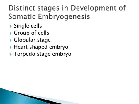 Somatic Embryogenesis Pptx